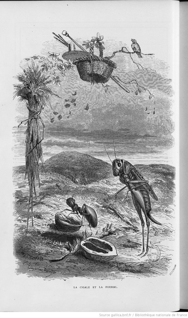 La cigale et la fourmi – Une sorcière m'a dit